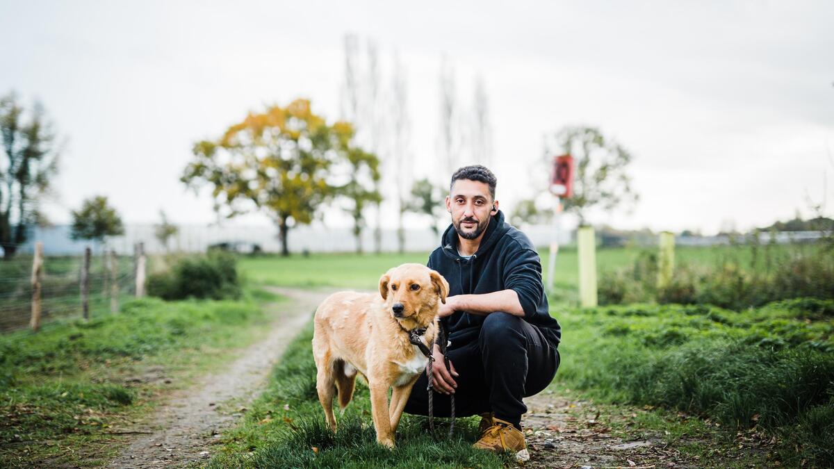 Asielen waarschuwen voor adoptie van straathonden uit het buitenland ...