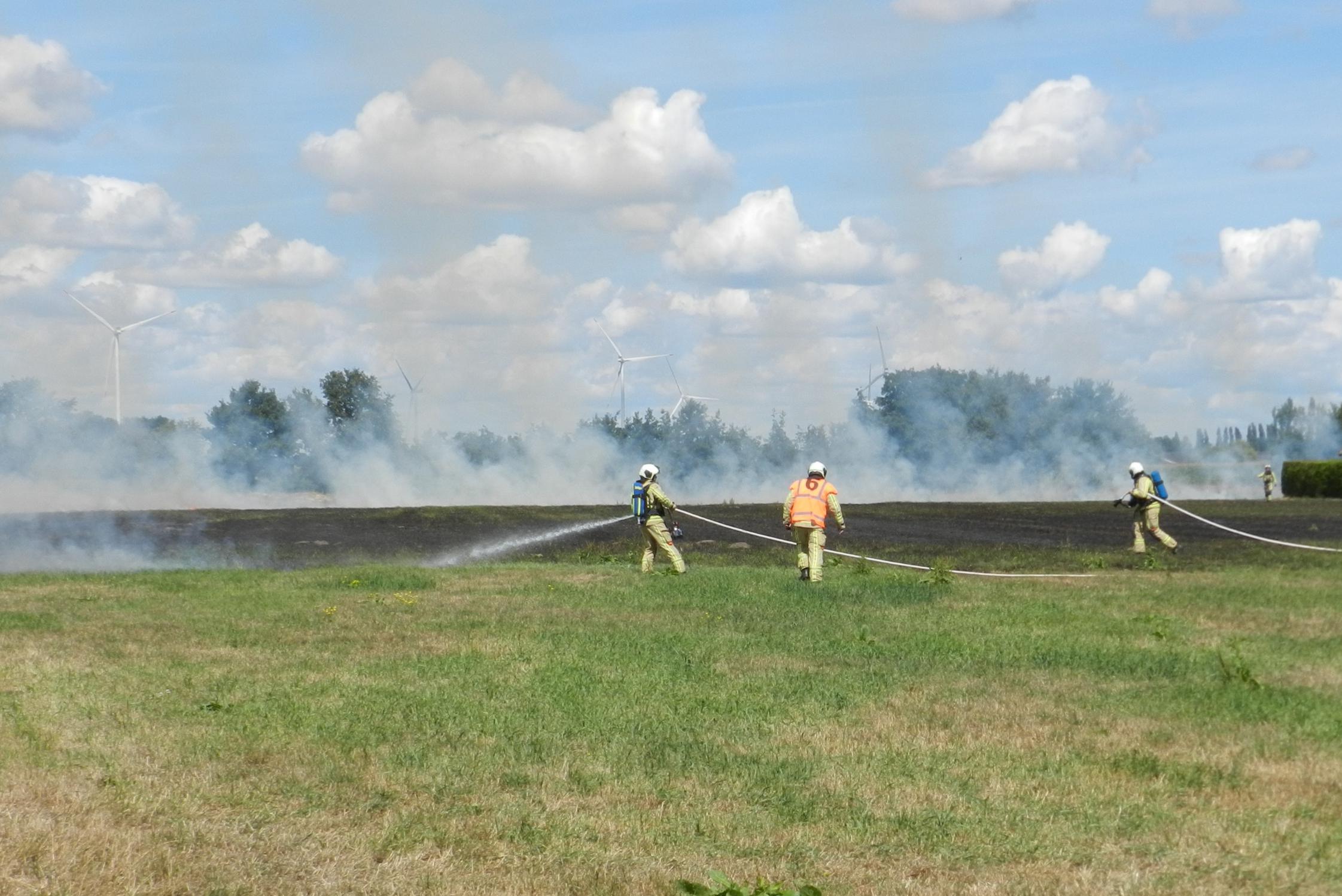 Brand vernielt twee hectare weiland in Hoogstraten: “Veel rook, maar ...