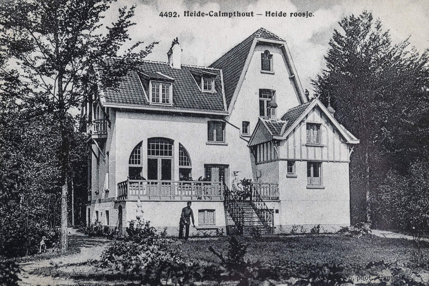 Botanisch paradijs in Kapellen: rond de authentieke cottage van Yvan en ...