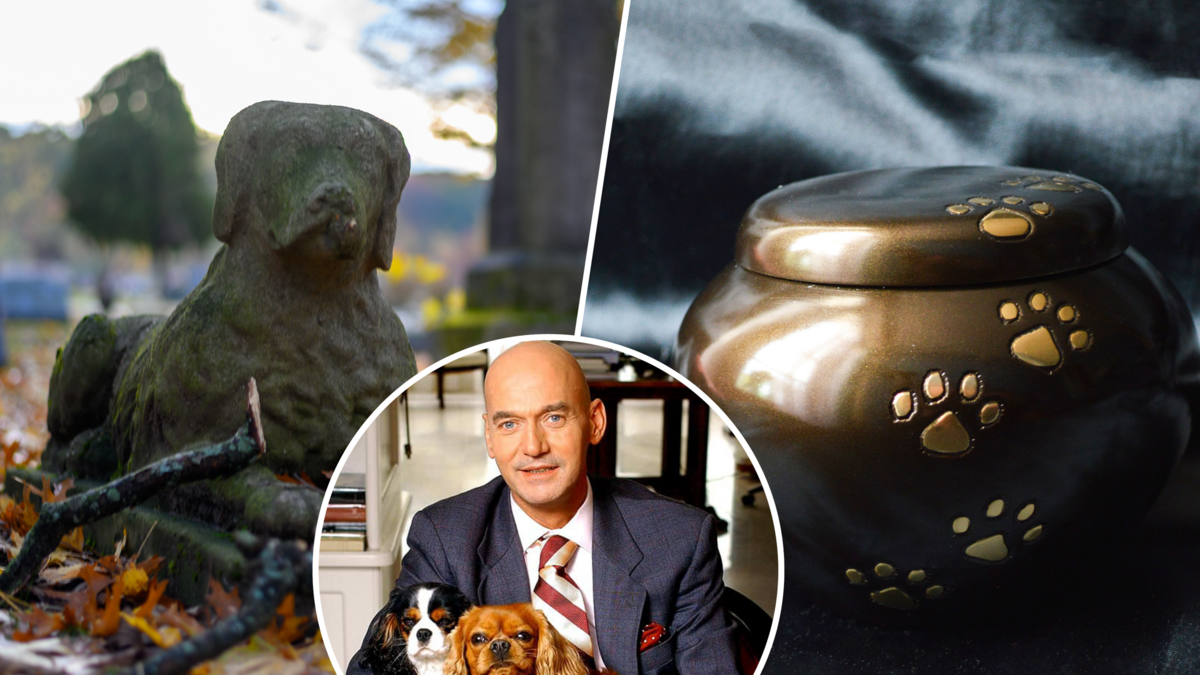 Urne van huisdier mag weldra bijgezet worden in graf als baasje ...