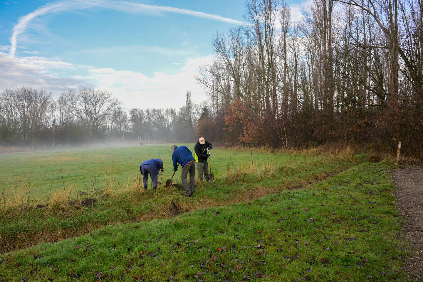 Nieuw natuurbeheerplan voor Hobokense Polder, dat met 20 hectare ...
