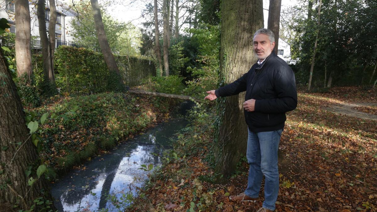 Donkse Beek stinkt: pas beterschap na heraanleg Kapelsesteenweg | GVA