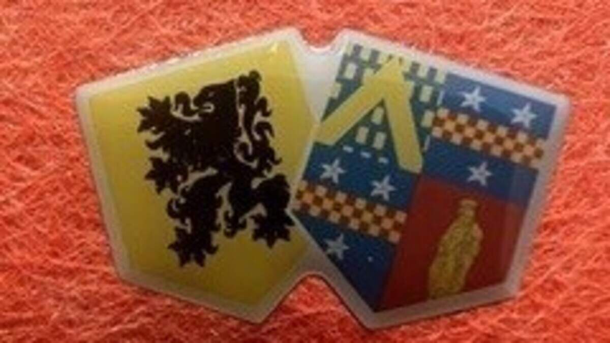 Vlaams Belang deelt pin uit aan wie Vlaamse Leeuw laat wapperen op 11 ...