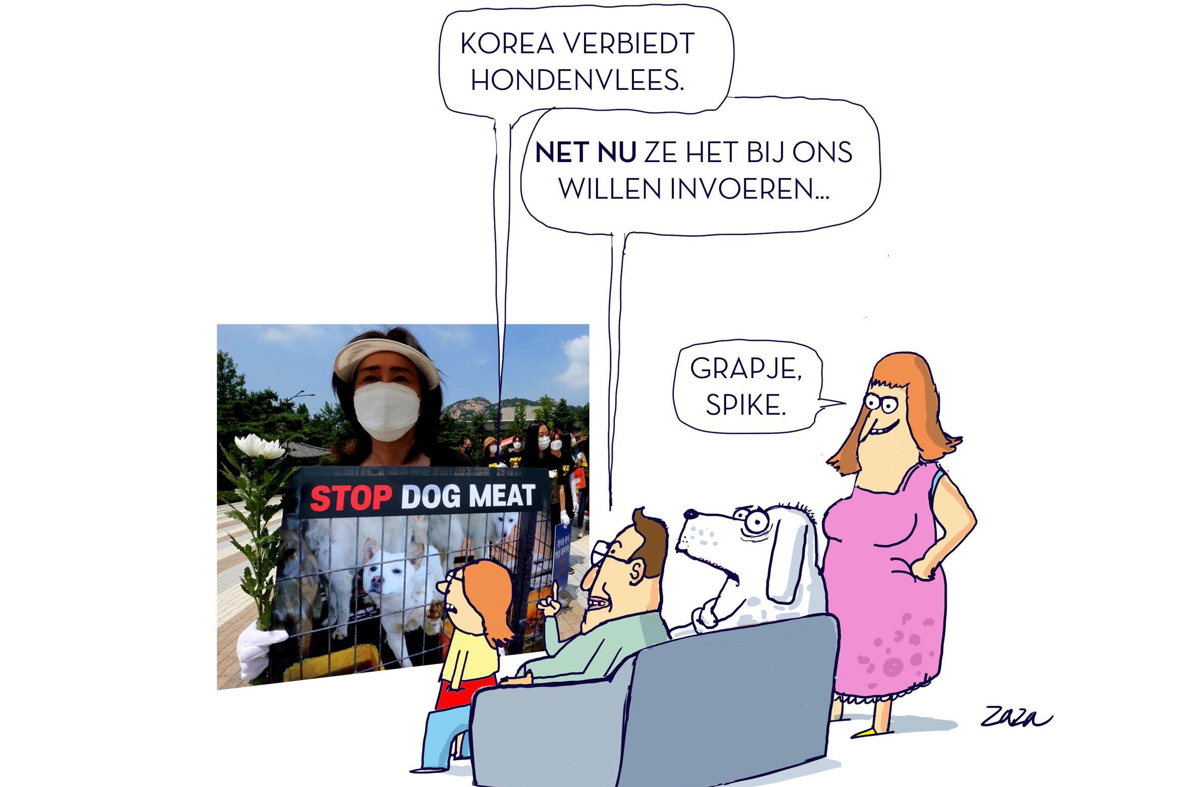 Onze cartoon van de dag, gemaakt door Zaza | GVA