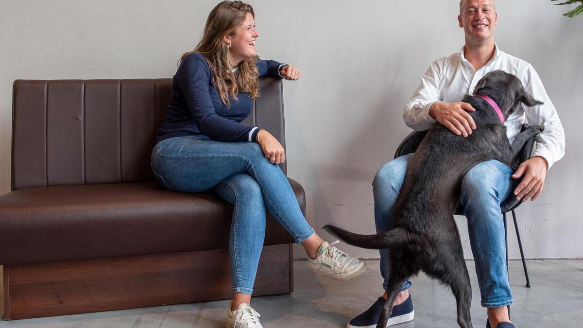 Nederlands puppyplatform Bazoeki komt naar België: “Voorkomen dat ...
