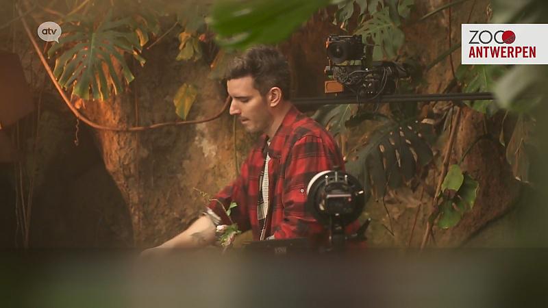 Netsky stelt nieuw album voor via livestream uit Antwerpse Zoo | GVA