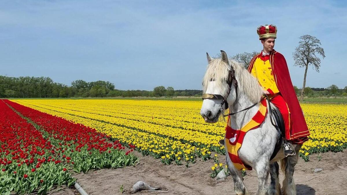 Schitterend lenteweer trekt honderden kijklustigen en zelfs ...