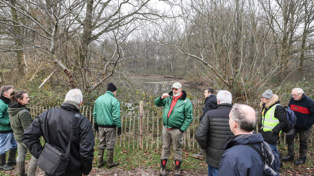 Samen met Natuurpunt speuren naar hommels in natuurgebied Kooldries ...
