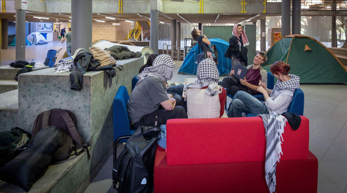 Net als twee jaar geleden: Pro-Palestina studenten bezetten campus ...