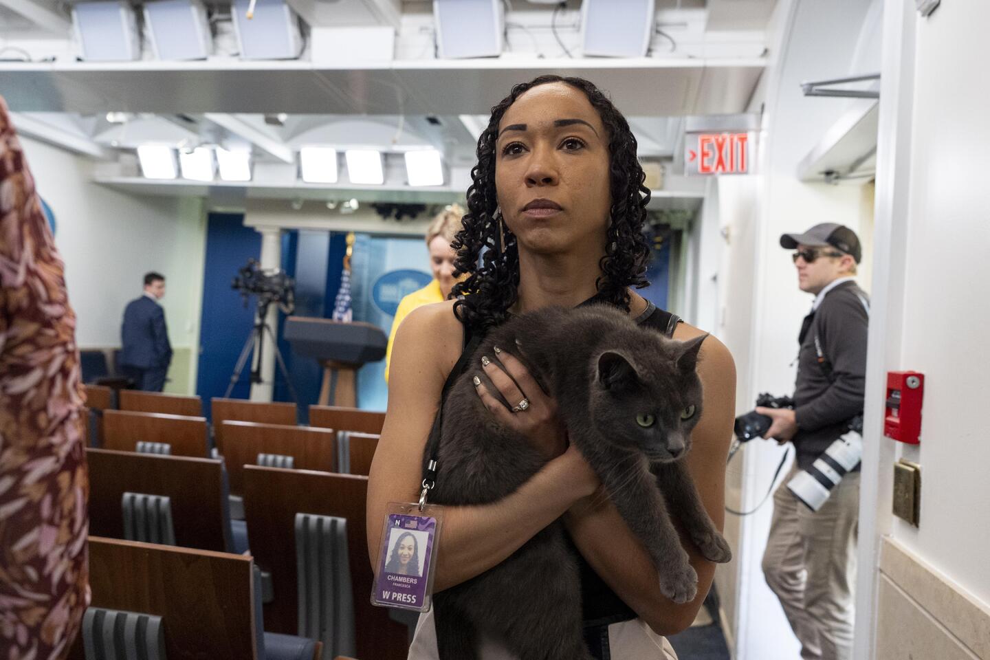 Kat dringt tuin van Witte Huis binnen en sluit zich aan bij ...