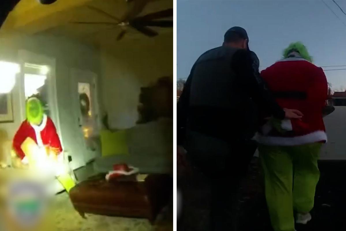 Hoe de Grinch bijna écht Kerstmis stal: politie ‘betrapt’ verklede ...