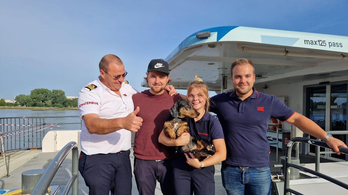 Medewerkers Waterbus redden hond uit de Schelde: “De woef was volledig ...