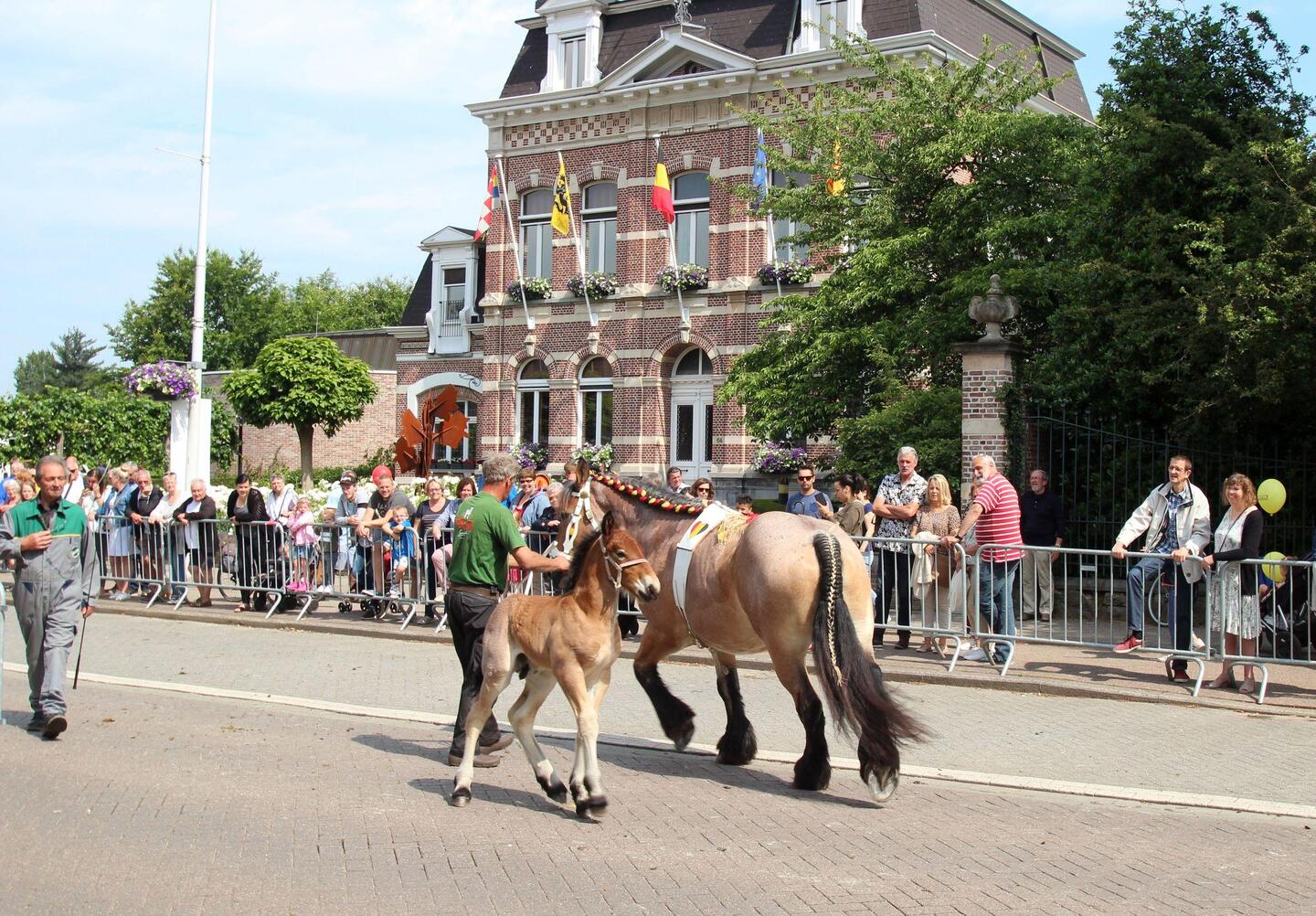 Borsbeek Feest met 75ste jaarmarkt en dameskoers live op televisie | GVA