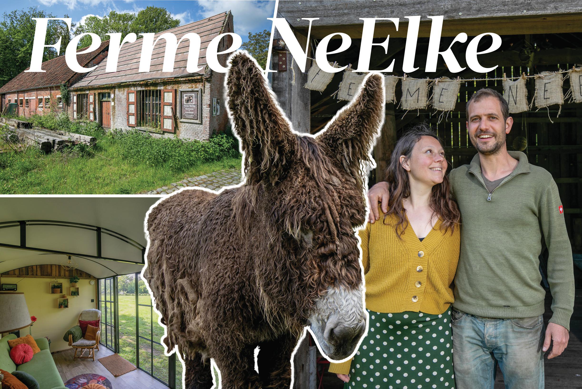 Logeren bij Ferme NeElke, een stukje Bokrijk in Zoersel: “Een boerderij ...