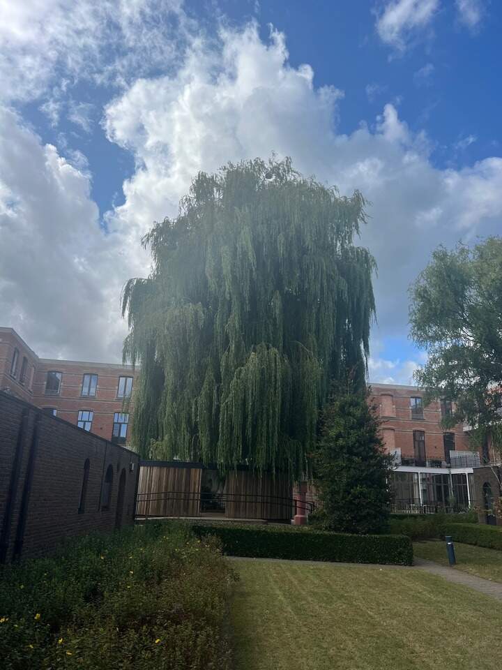 Msbteew i've observed her advertisements and was always