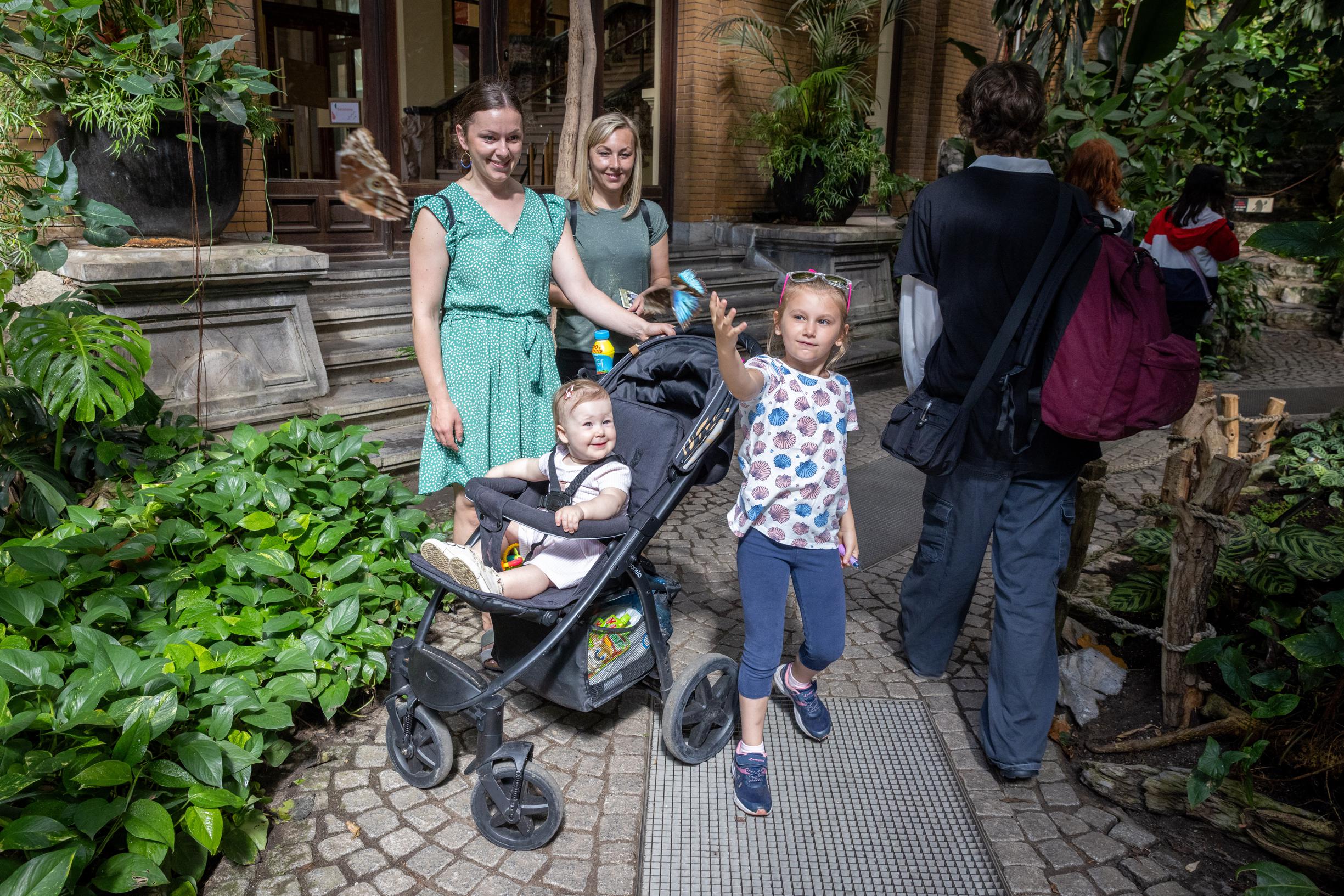 Na 10 jaar Vlindertuin in Zoo Antwerpen, nu ook eentje in Planckendael ...