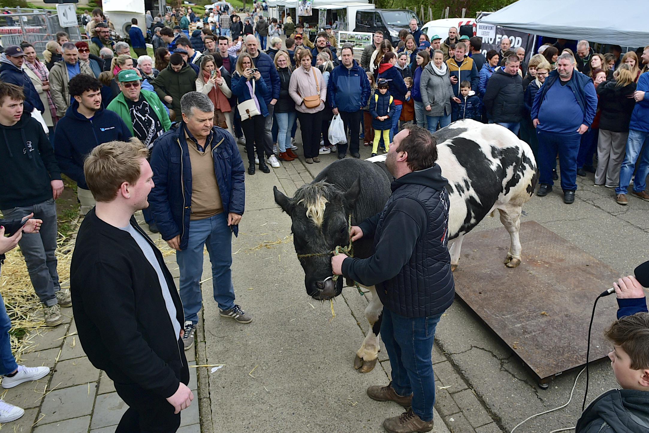 Met extra medewerkers nu toch naar 31ste editie Posse Leest ...