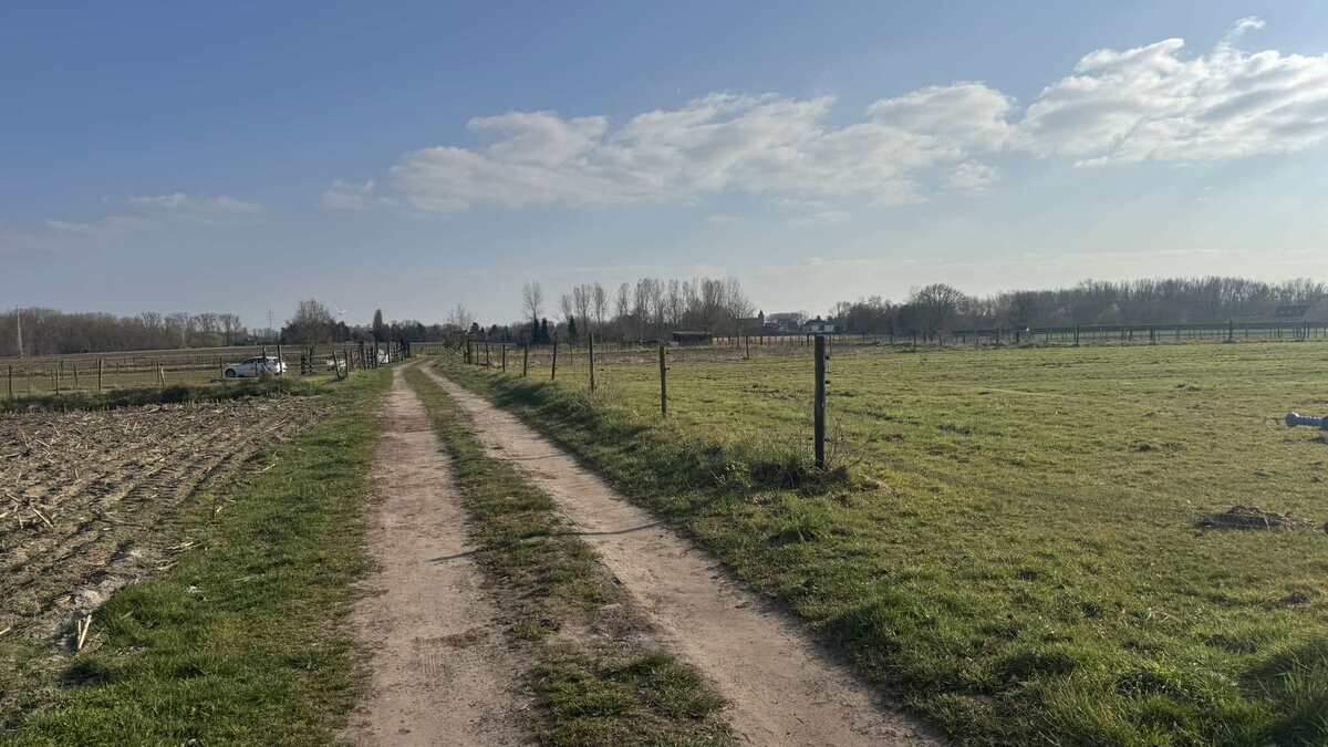 Wandelpad tussen Wintam en Eikevliet blijft nog een jaar afgesloten na ...