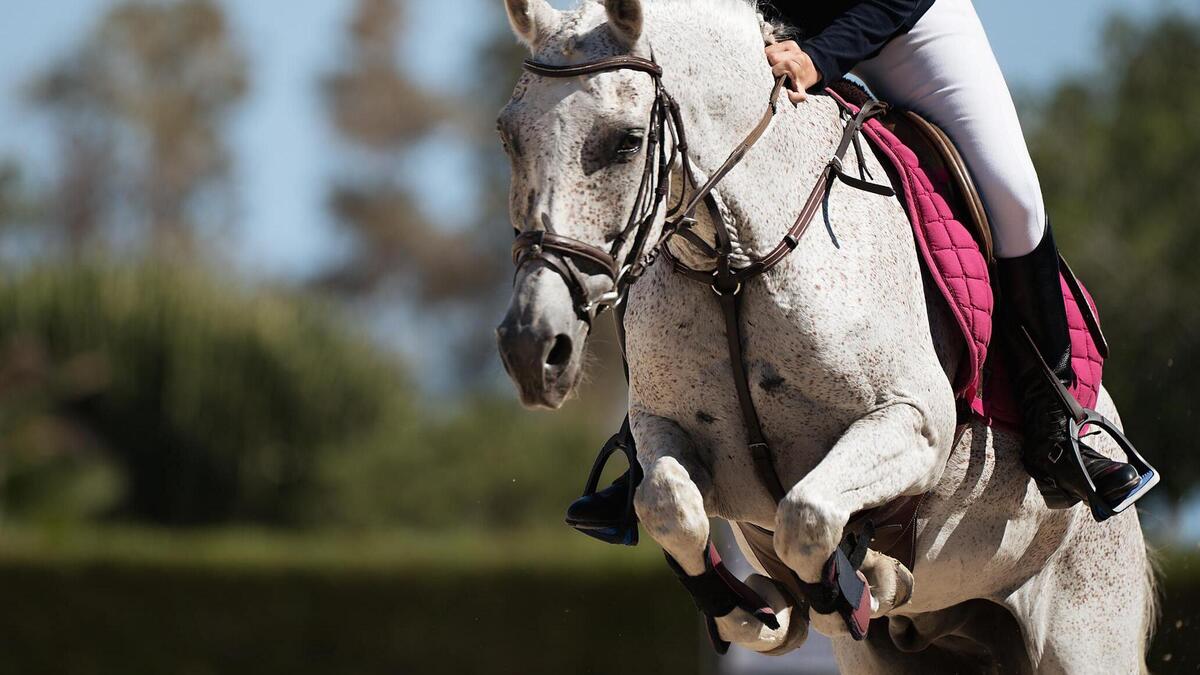Professionele ruiter (37) sterft na val tijdens Brits eventing-tornooi ...