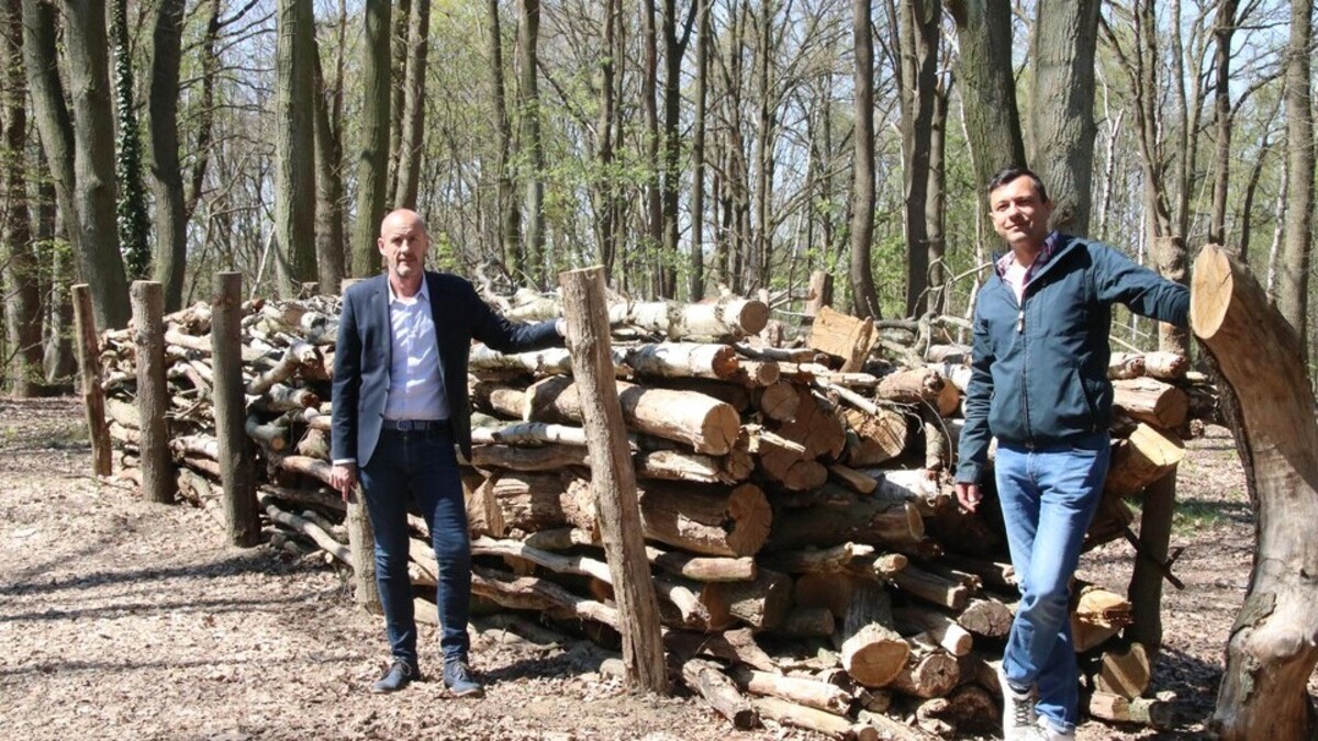 Beerzelberg: ‘Dak van provincie’ ondergaat verfaaiingswerken | GVA