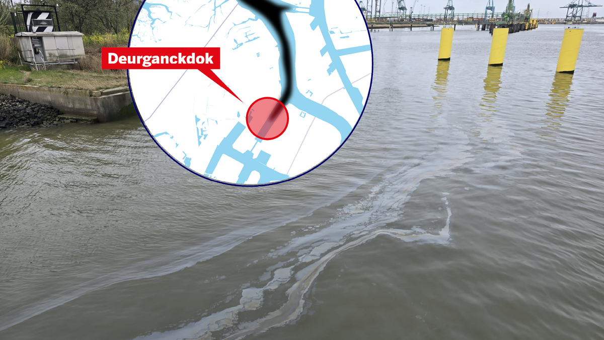 Antwerpse haven ook vijf dagen na olielekkage nog gehinderd: kritiek op ...