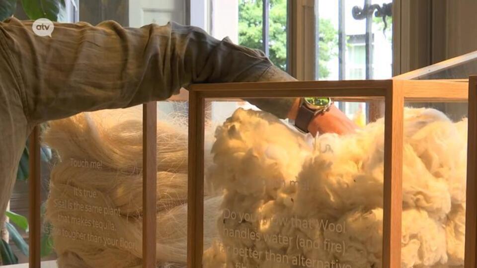 Van schaap tot tapijt: Wool & Wire pakt uit met opvallende blikvanger | GVA