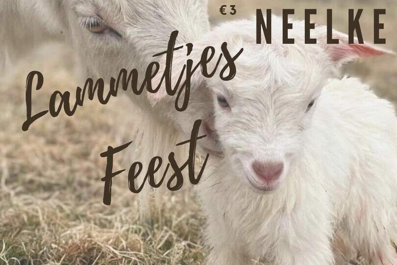 Veel jonge diertjes te bezoeken tijdens Lammetjesfeest op paasmaandag ...