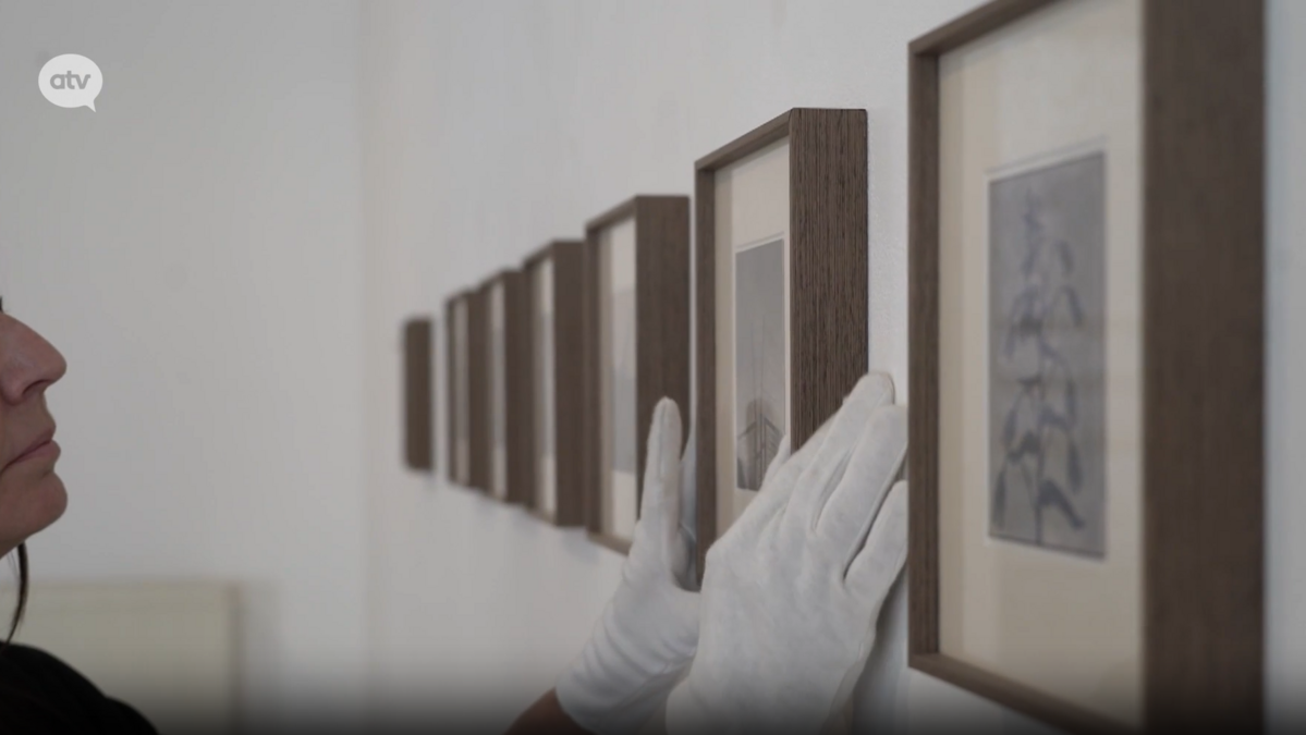 Deuss Gallery, trouwe deelnemer van het Antwerp Art Weekendeschiedenis ...