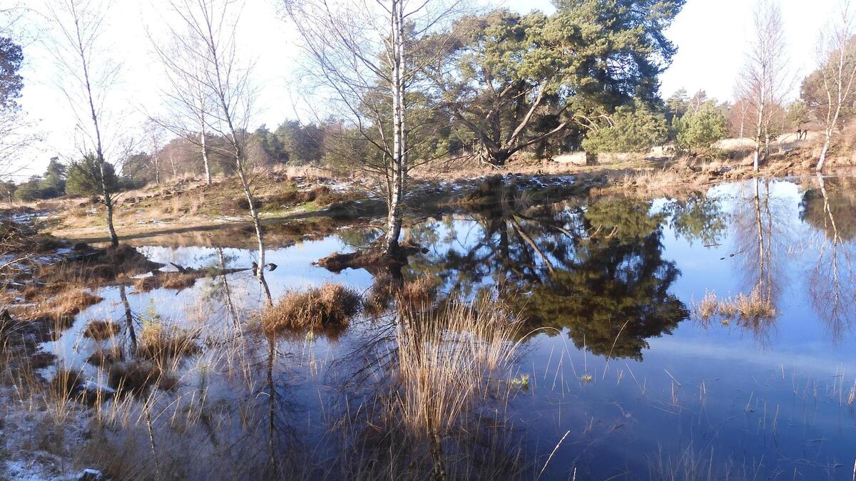 Natuurvereniging GroenRand legt derde kleiner parktype op tafel bij ...