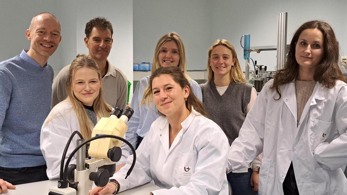 Antwerpse onderzoekers boeken doorbraak in strijd tegen chronisch ...