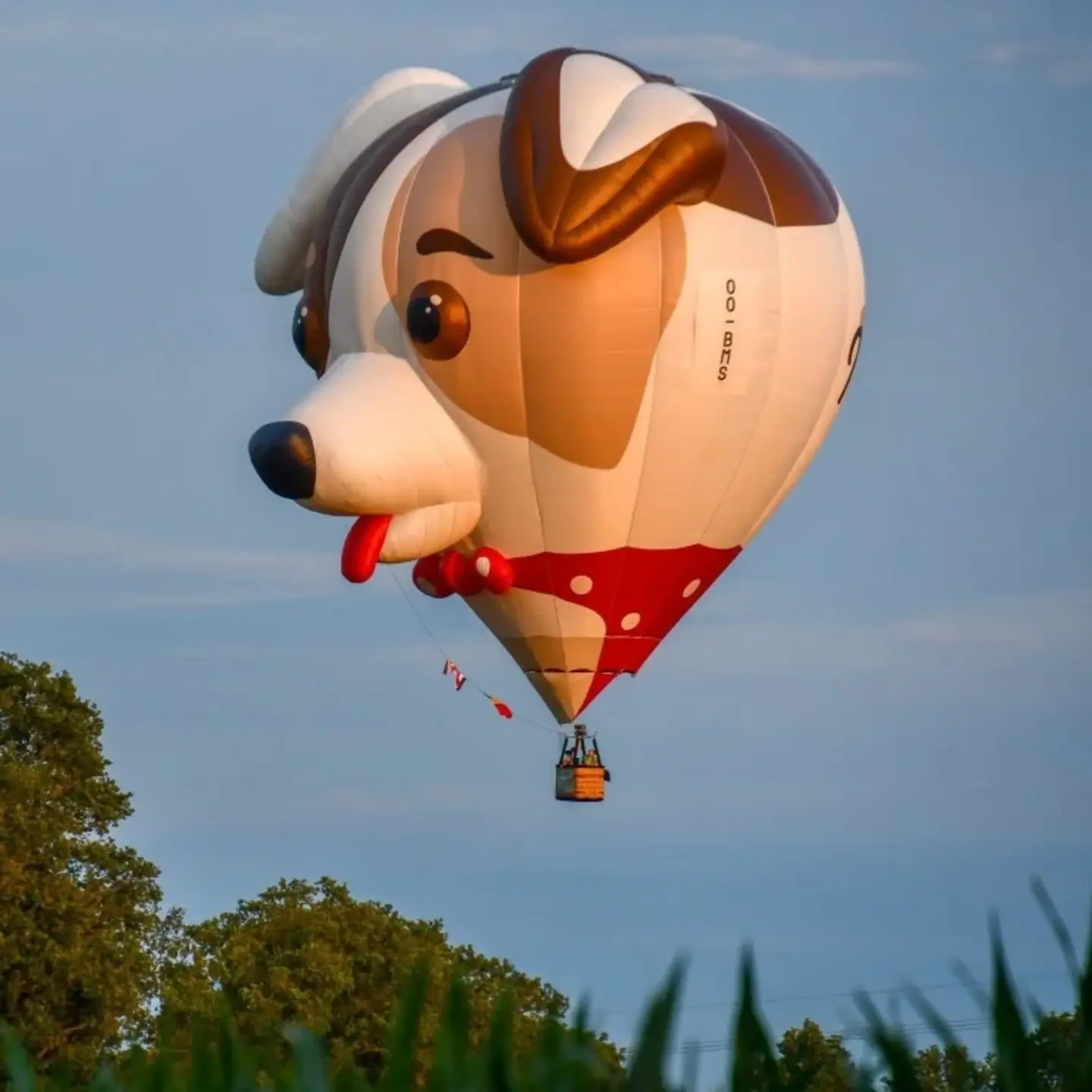 Flying Brothers stellen hun vierde ballon voor: “In het echt is het ...