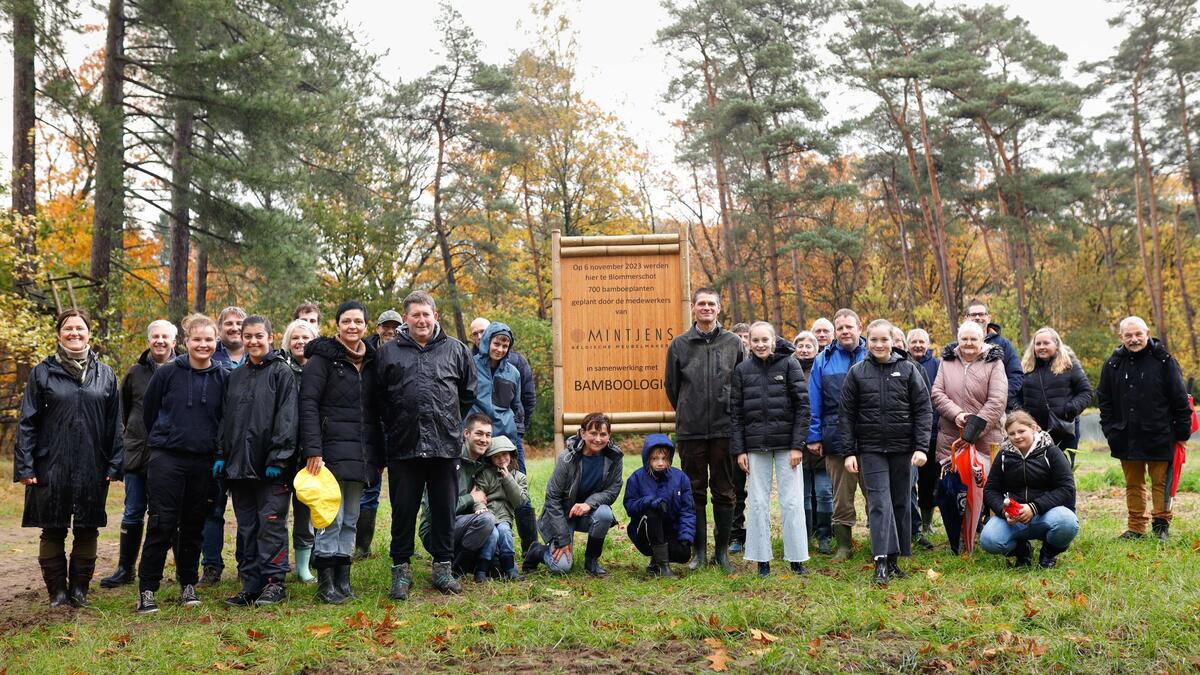Mintjens Groep plant bamboebos op Blommerschot om tegen 2028 in eigen ...