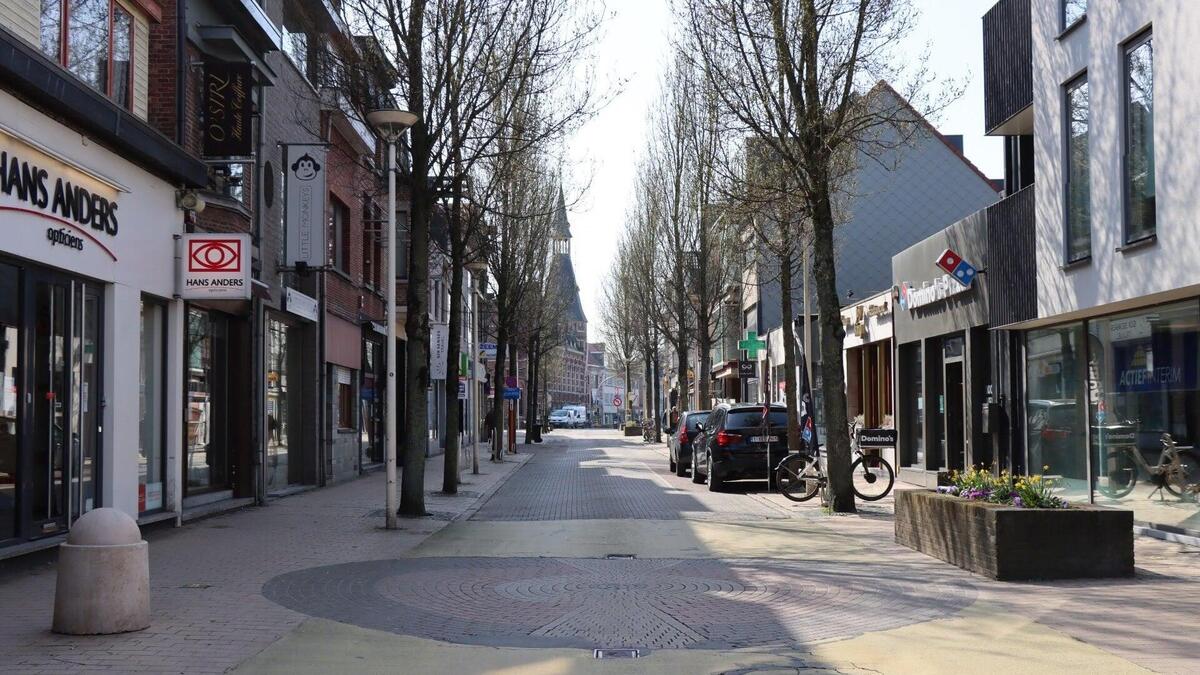 Schoten wil wat bomen weghalen uit de Paalstraat | GVA