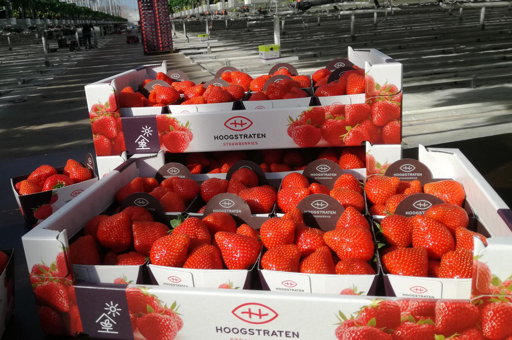 Weegt je bakje aardbeien in de supermarkt wel echt 500 gram? Je kan het best eens dubbelchecken ...