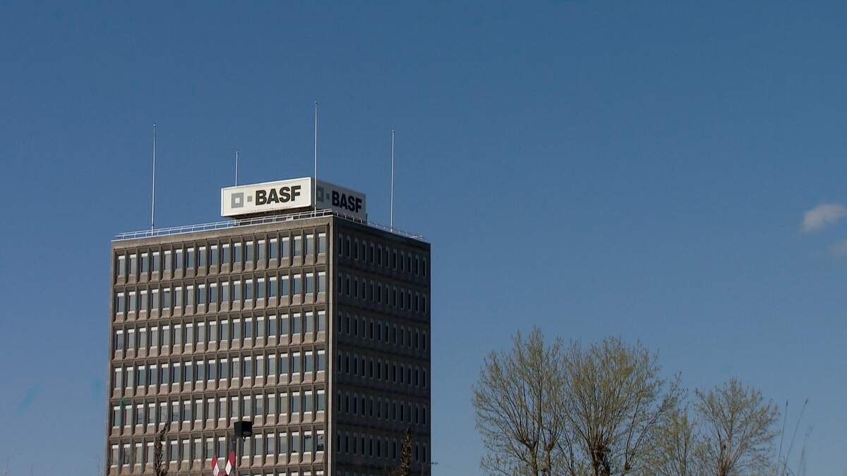 Miljardenproject van BASF Antwerpen staat op de helling: “Overheid moet ...