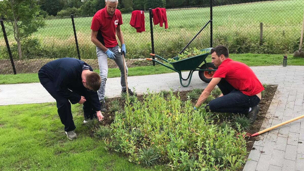 Werknemers Cummins tonen hun groot sociaal engagement | GVA