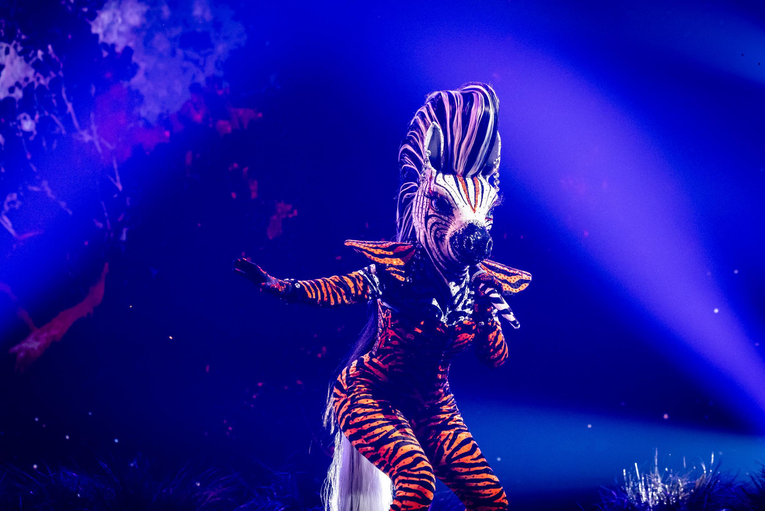 Over and out voor Zebra in ‘The masked singer’: “Ik vond het stiekem ...