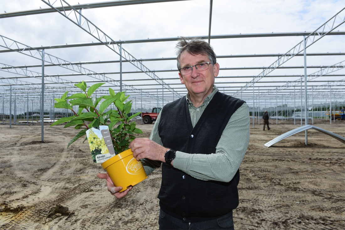 Oprins Plant bouwt nieuwe serres en verhuist productie naar Rijkevorsel ...