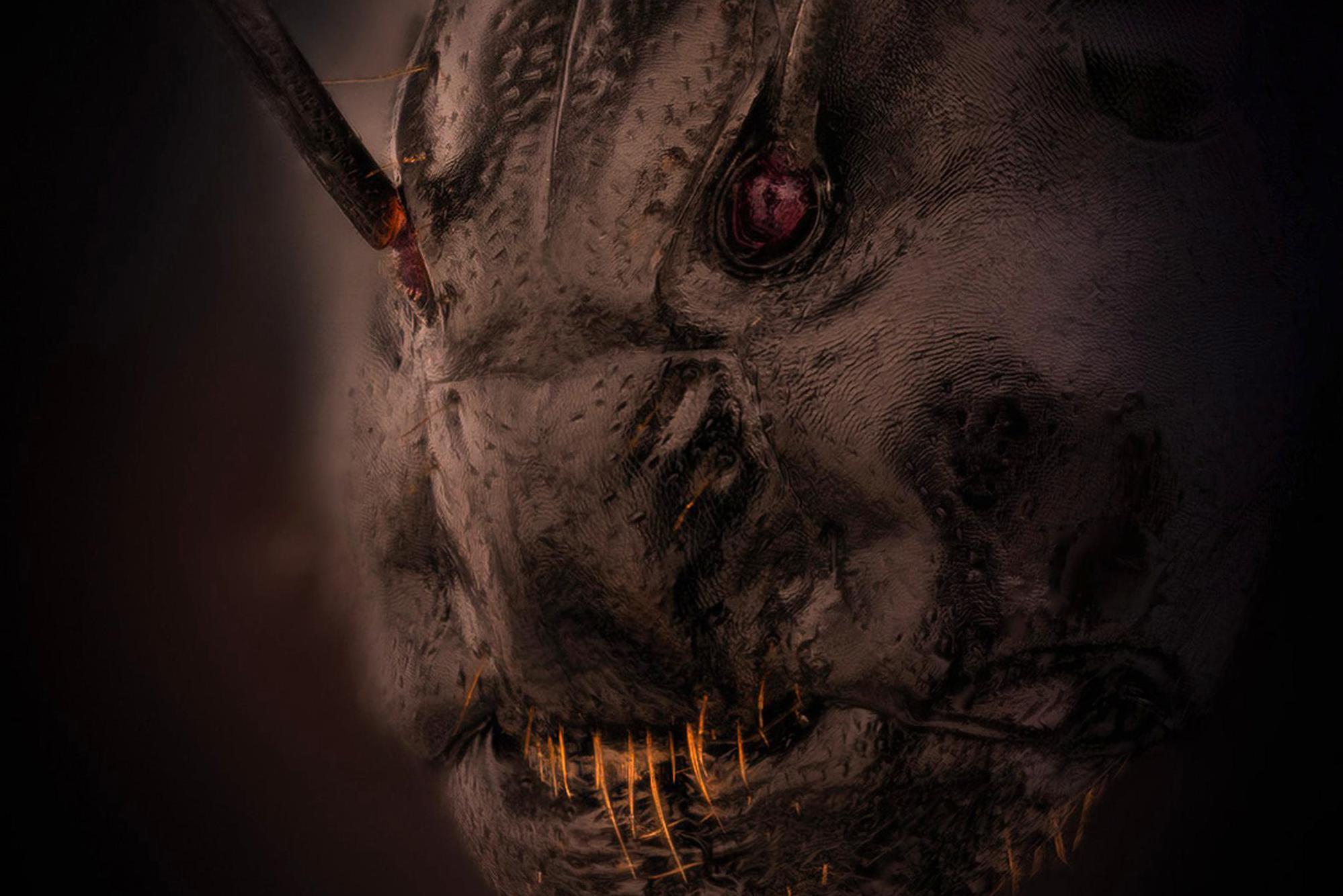 “Om nachtmerries van te krijgen”: internet gefascineerd door ...