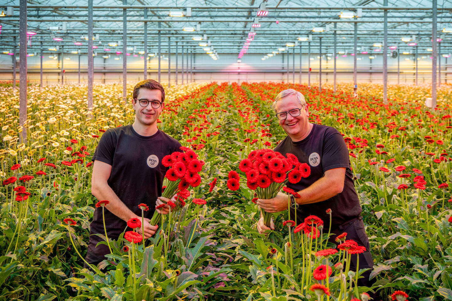 Bloemenkwekerij Dens draait op volle toeren in aanloop naar valentijn ...